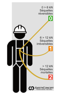 Facteur ou force de chute